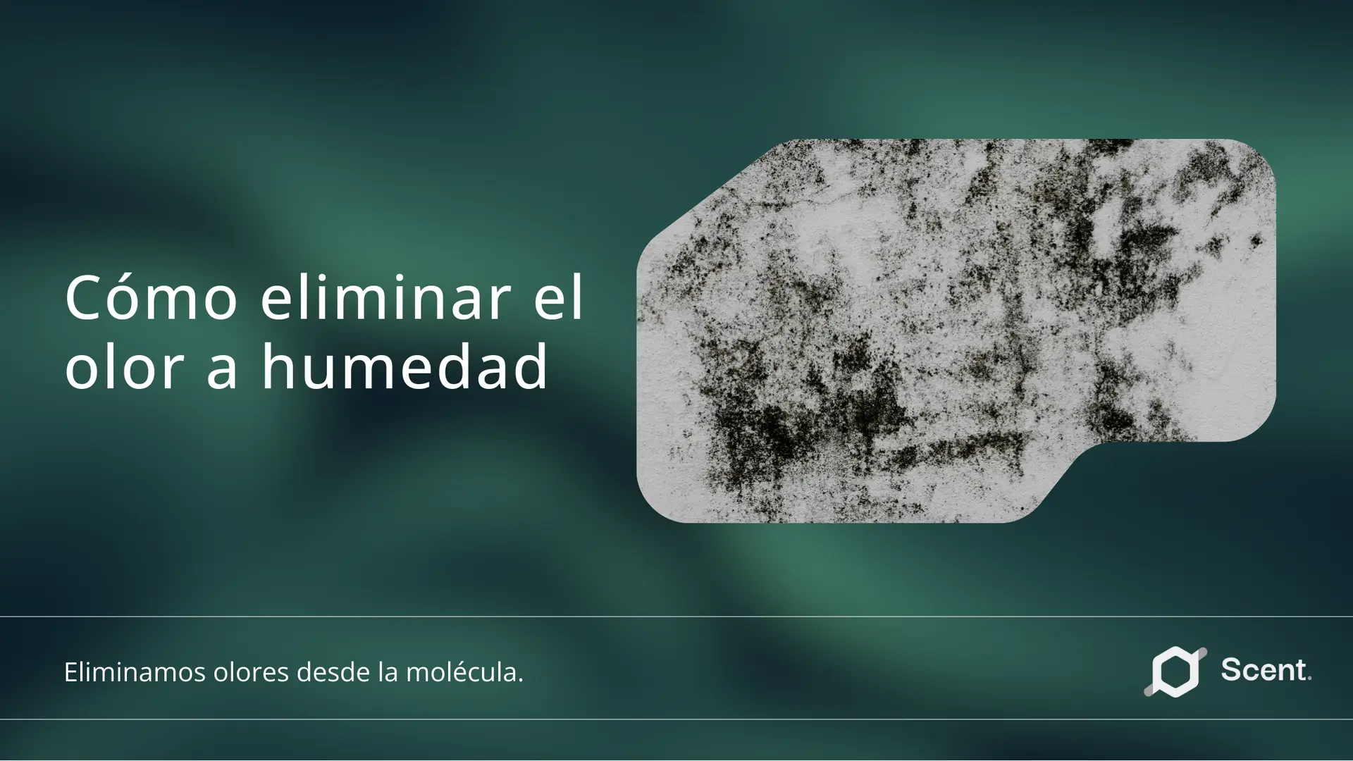 Cómo eliminar el olor a humedad - Scentechnologies