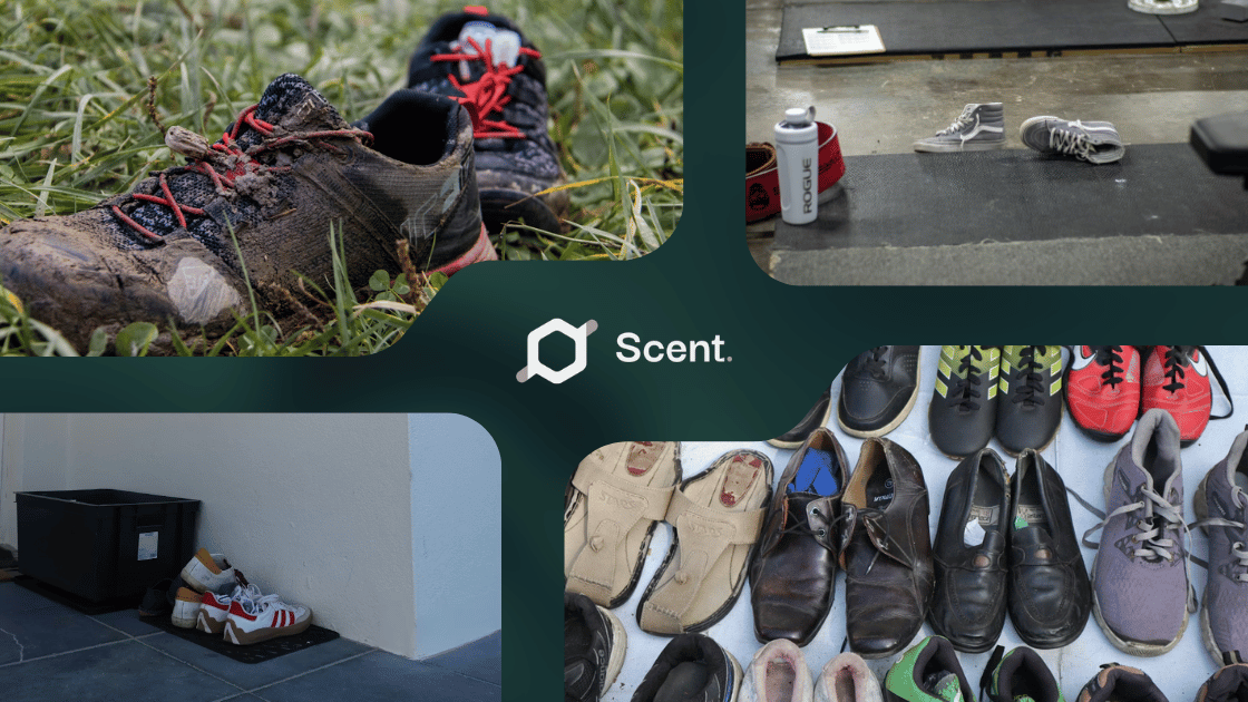 How to eliminate shoe odour - Scentechnologies