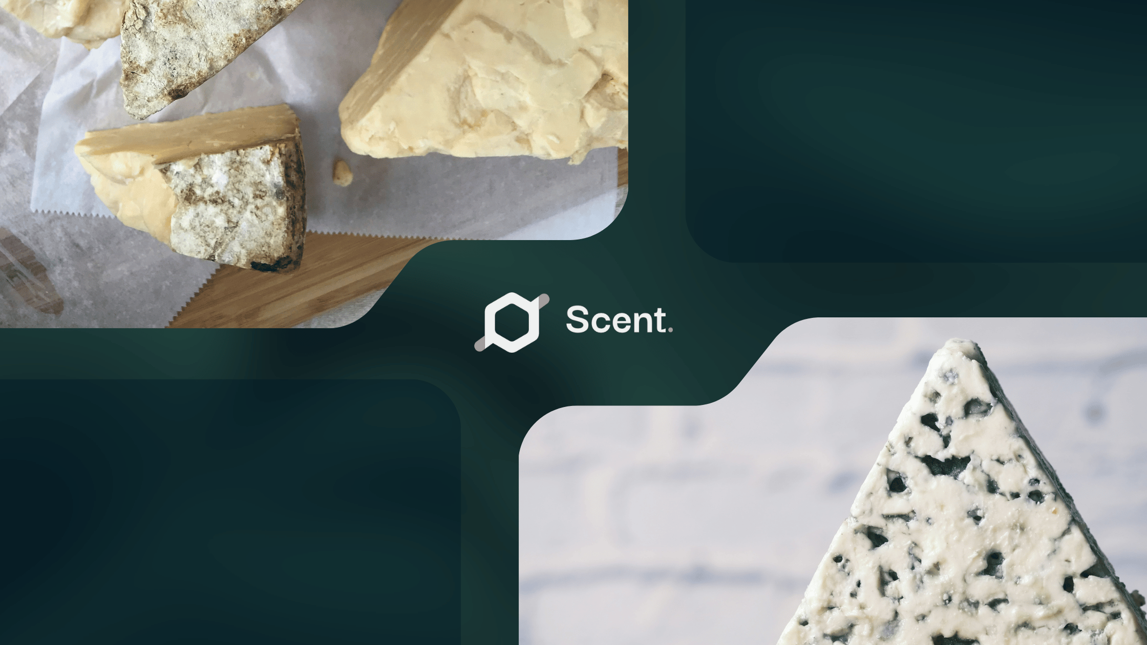 How to remove the smell of strong cheese - Scentechnologies